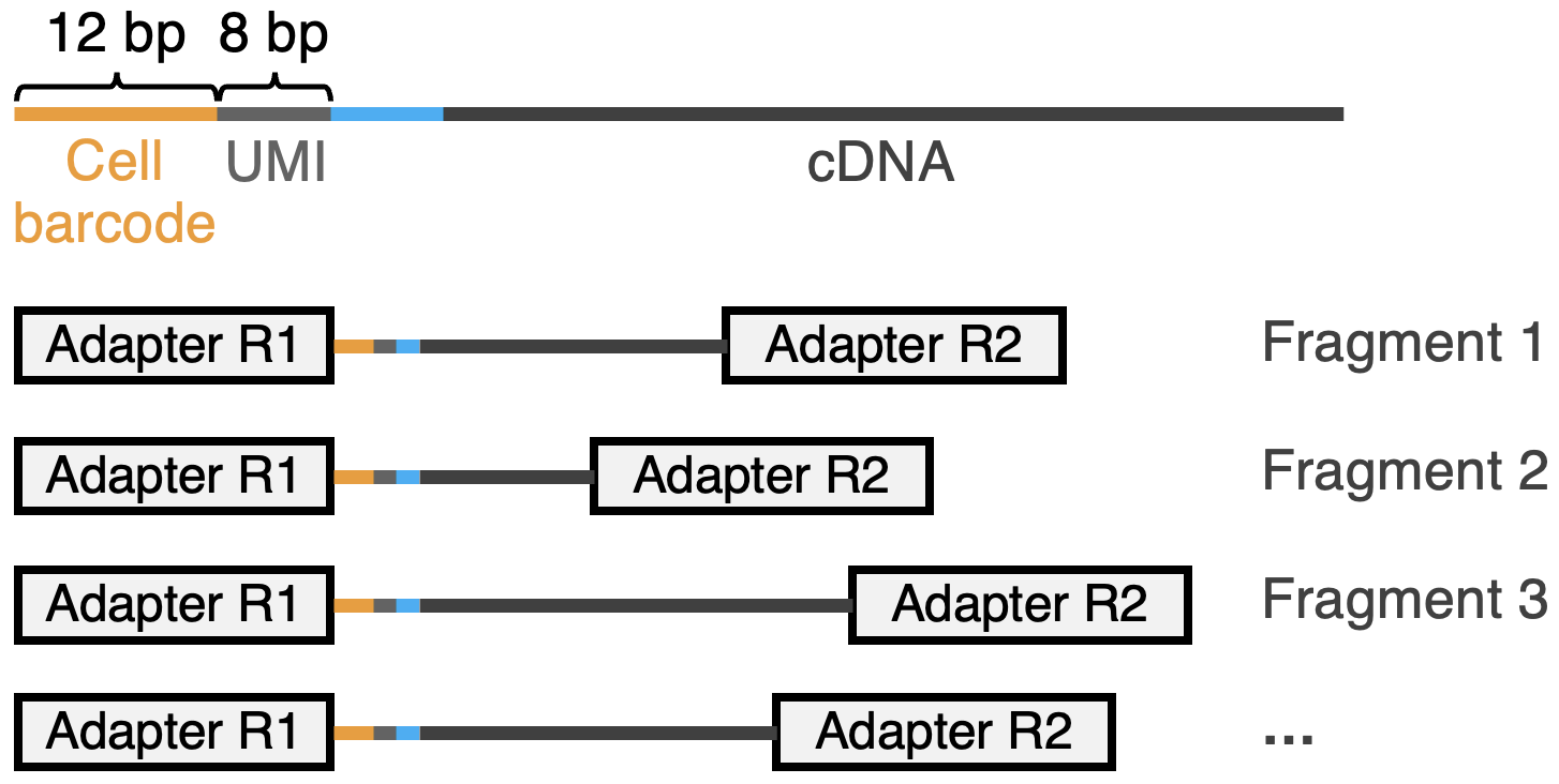 Bioinformatics Training in Imperial College London